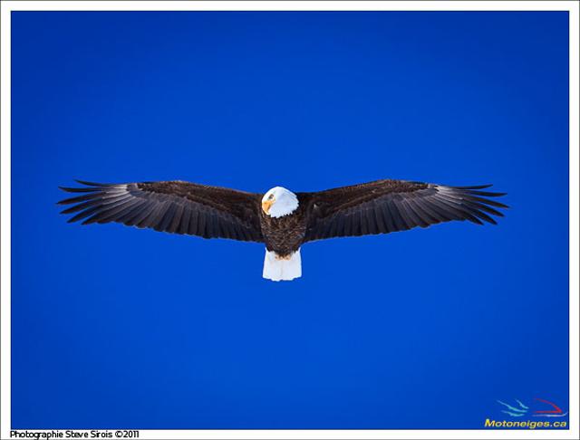 A visit in Yogi Land - SledMagazine.com