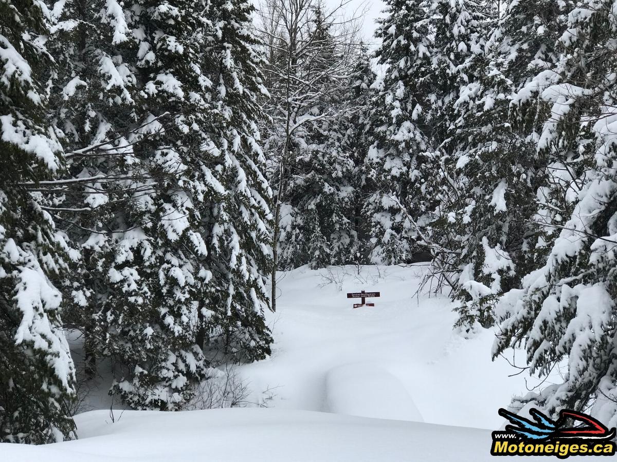 The Gaspé Snowmobile Adventure - SledMagazine.com