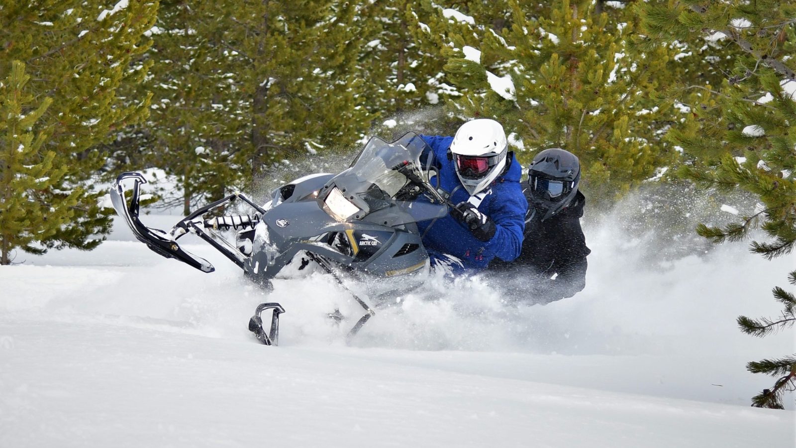 An absolute Blast!|SledMagazine.com