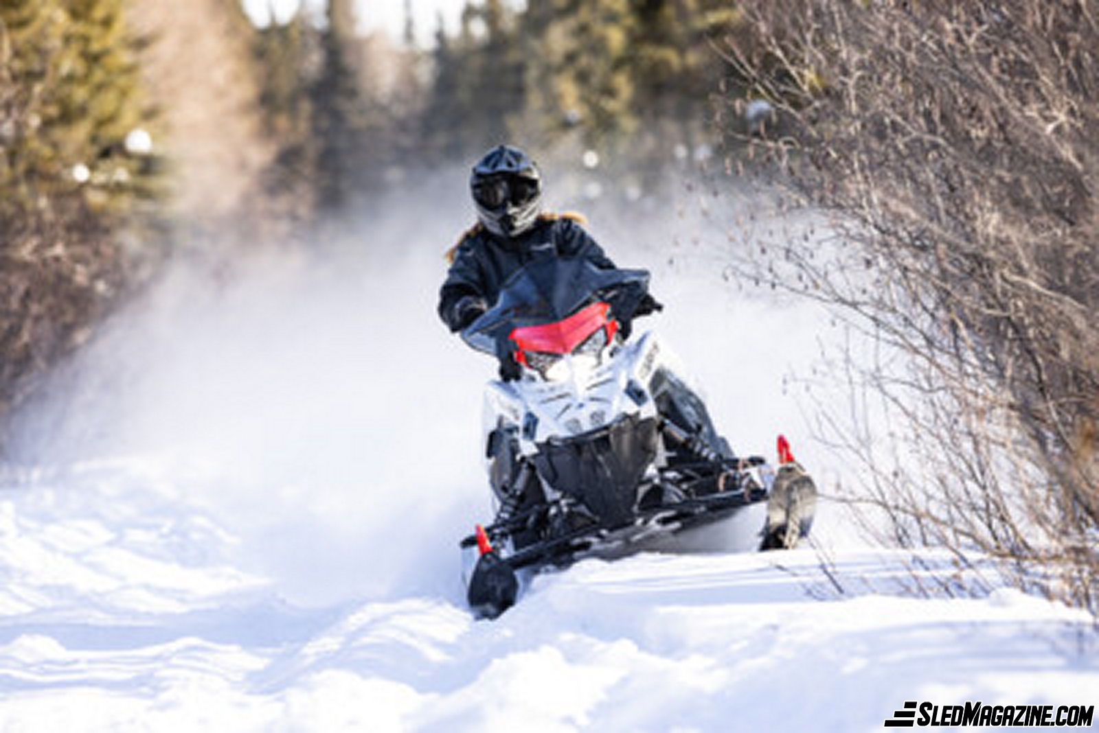 2023 Snowmobiles: Your entry-level options!